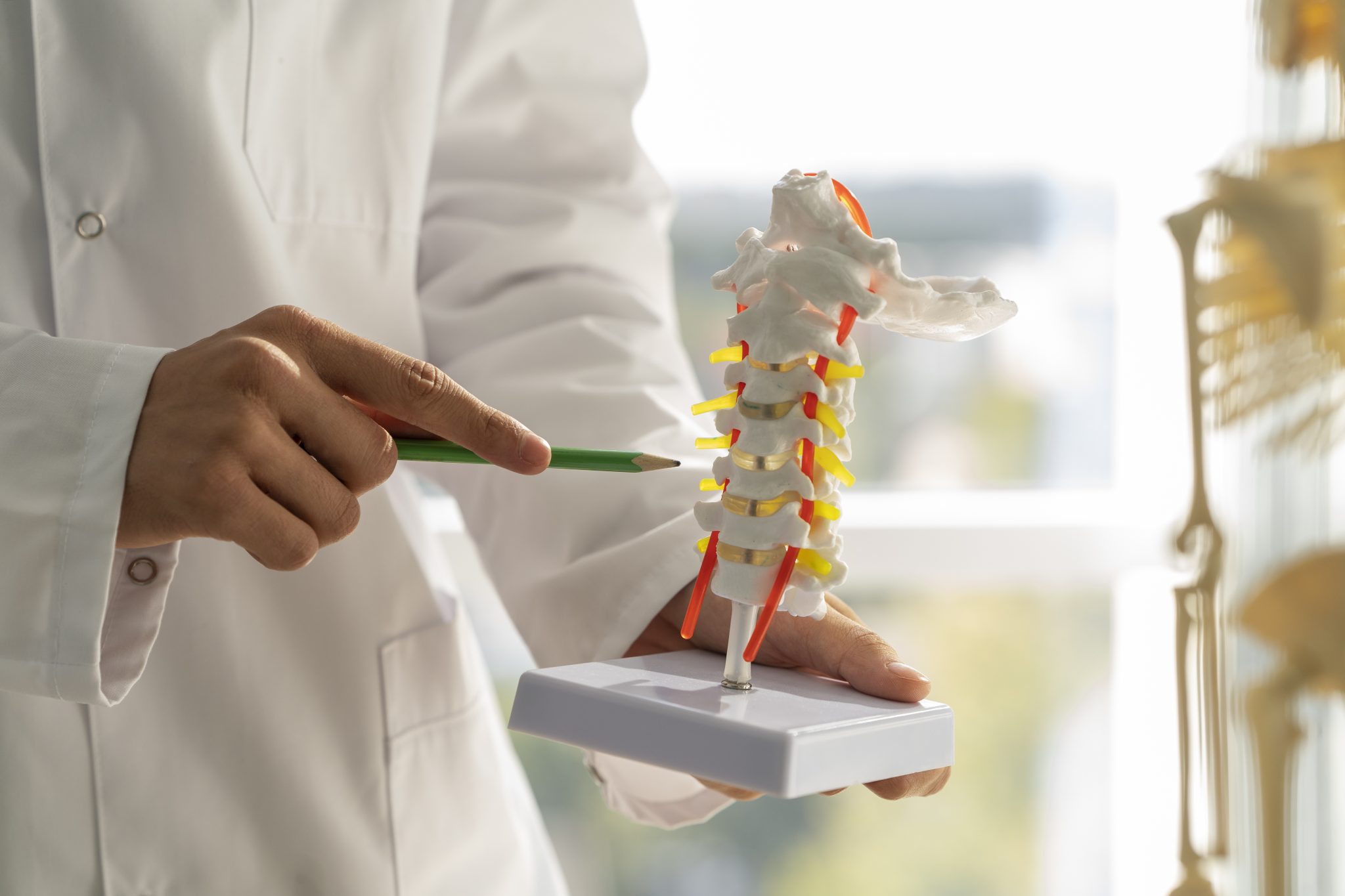 Why Combining Chiropractic and Physical Therapy Works Best (Warren ...